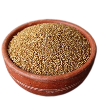 Kodo Millet / Varagu Premium 1kg | Whole Grains | Online Grocery ...